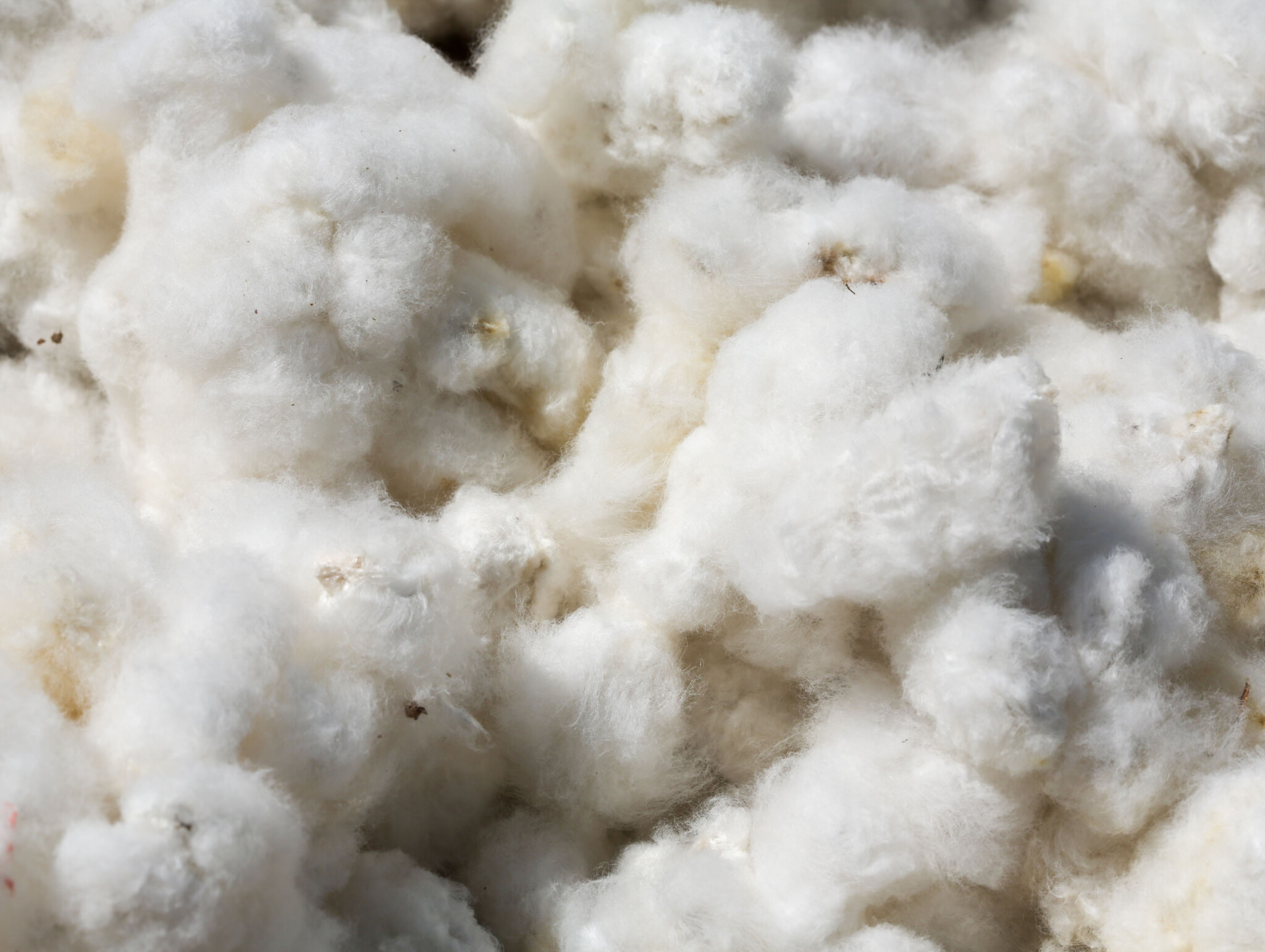 Content Claim Standard (CCS) - Textile Exchange