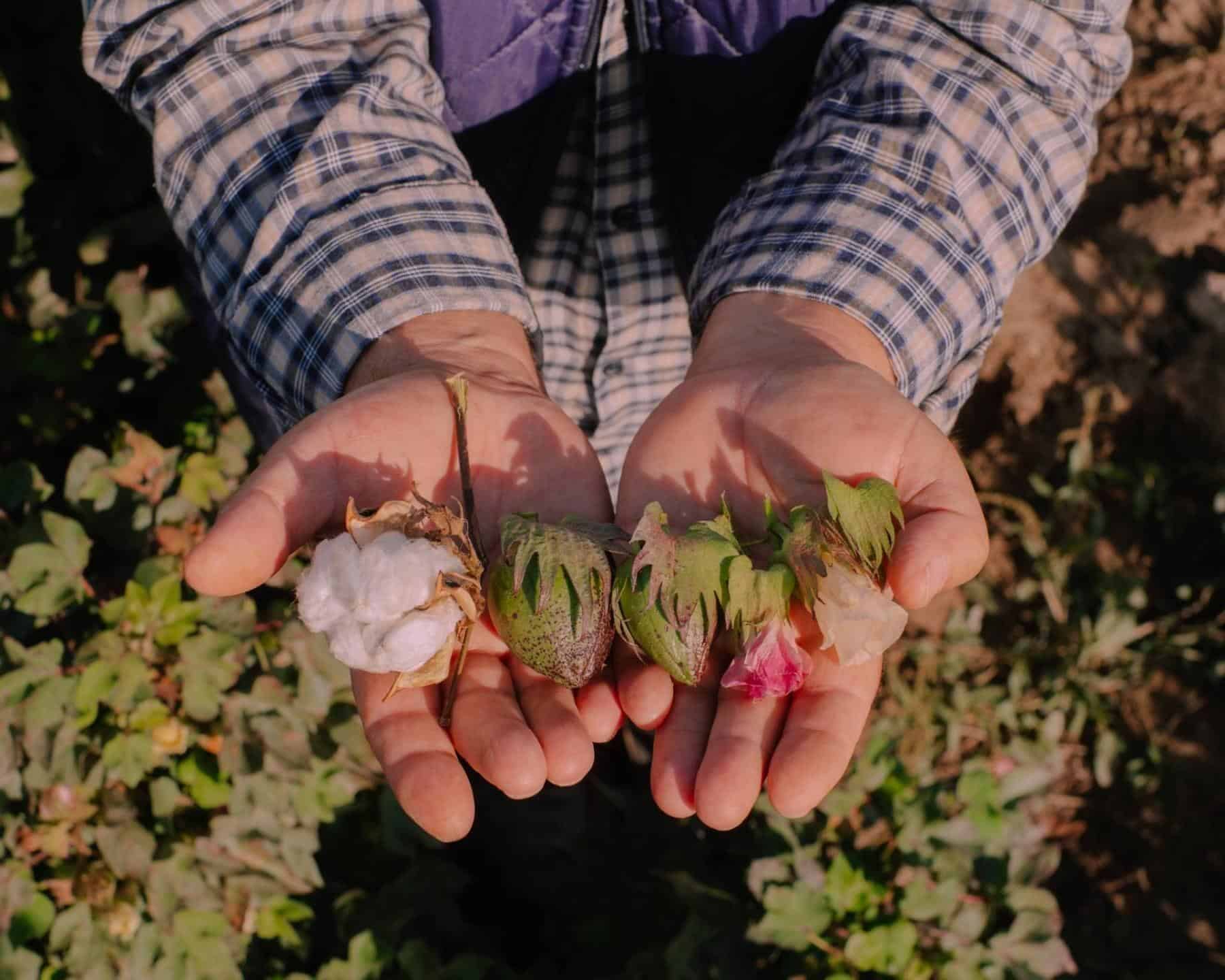 Donation - Textile Exchange